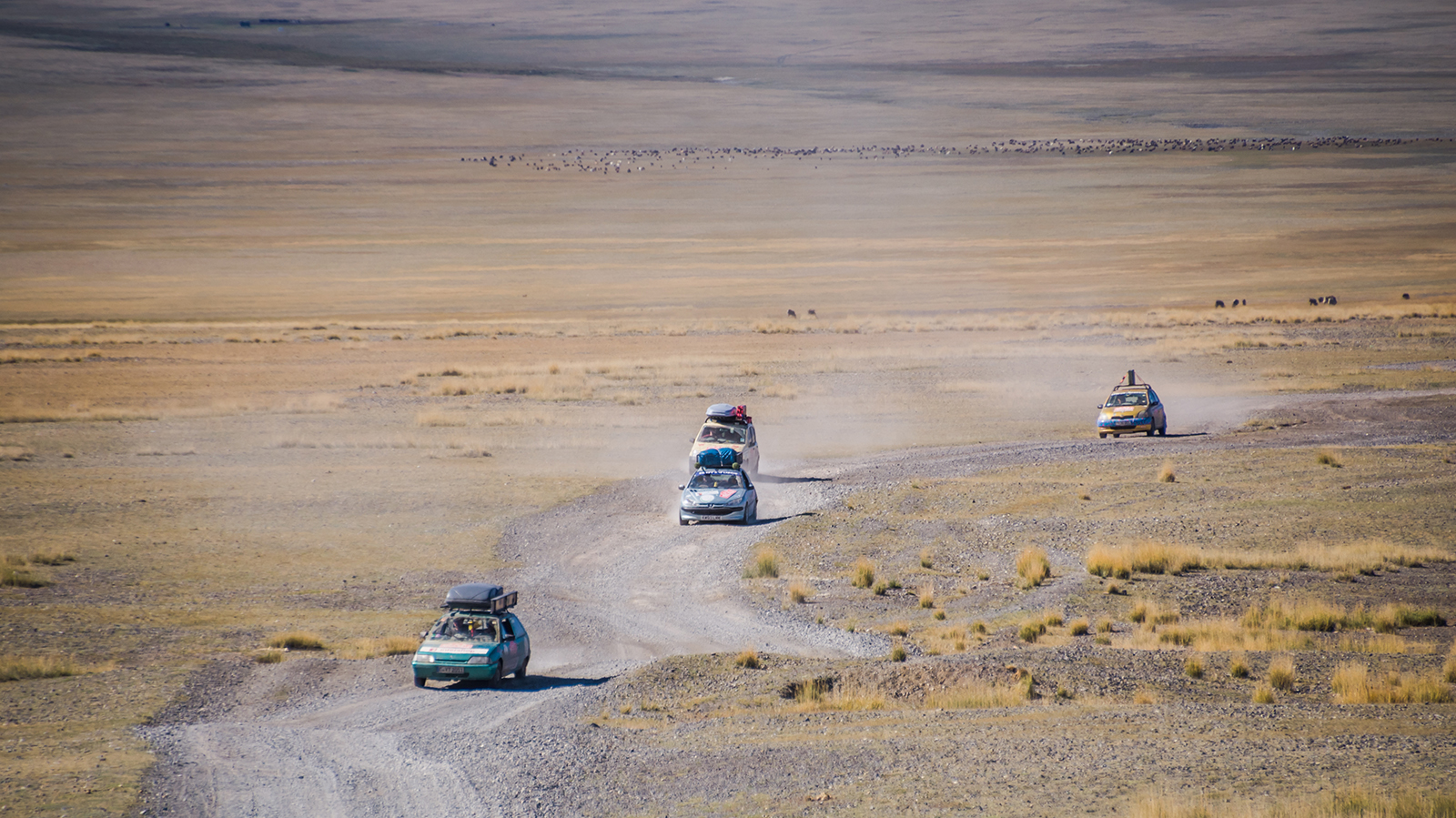 What do you need to know about the Mongol Rally?